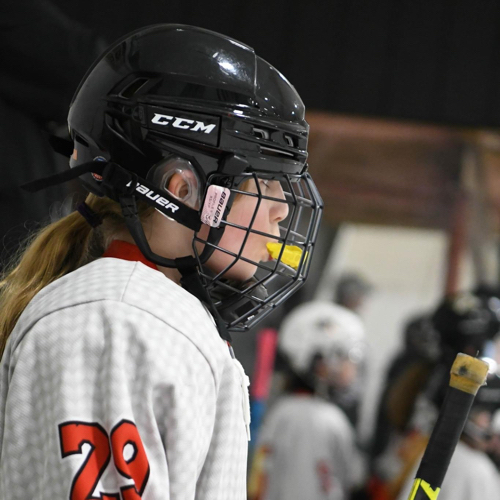 Wisconsin Elite Hockey League | 14U Girls South Central Roster | Girls ...