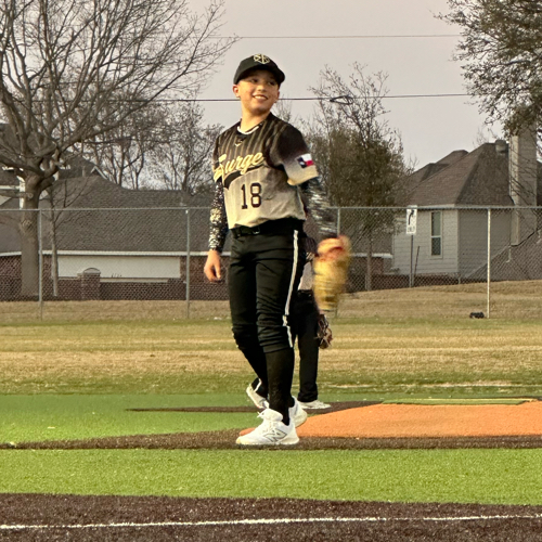 Surge Baseball | 11U GOLD Roster | Baseball Spring 2026 Season | Spring ...