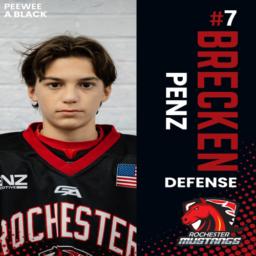 Miracle Gold Hockey | 2011 SE (USA) Roster | 2011 Tournament Team | MGH ...
