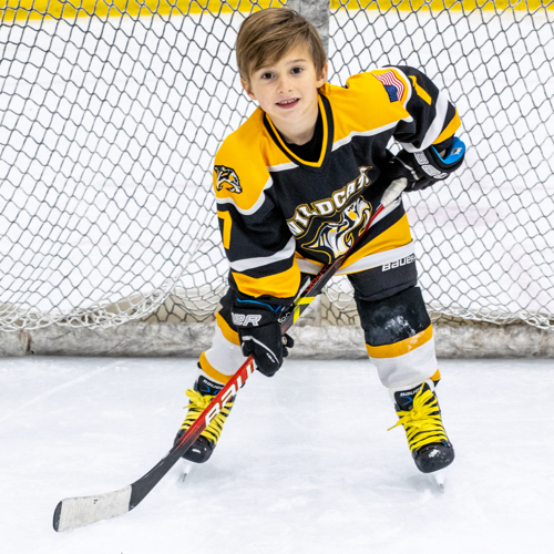 Madison Capitols AAA Hockey | Spring 8U Roster | AAA Spring Season | 2025