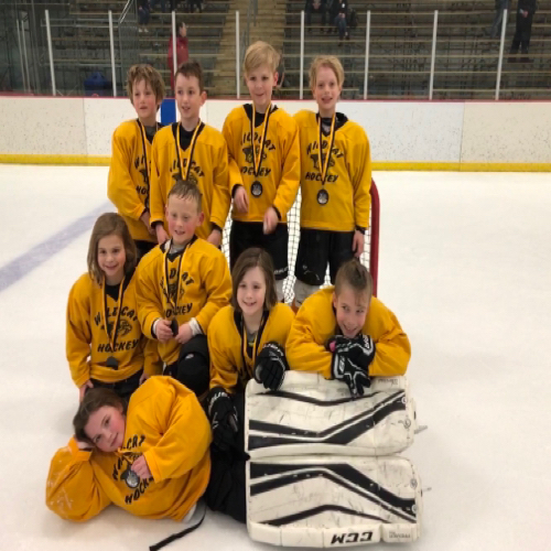 Wildcat Youth Hockey Association | PeeWee A Roster | Youth Hockey ...