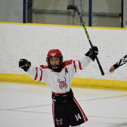 Elite Development Hockey | U10 Elite Roster | EDP Hockey Academy | 2023 ...