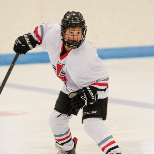 Fargo Angels Hockey | Bantam A Roster | Travel Hockey - Registration ...