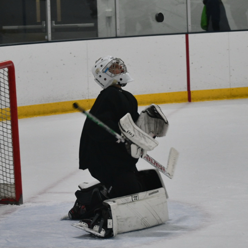 Minnesota Performance Hockey | 2010 Selects Roster | AAA Hockey | 2025 AAA