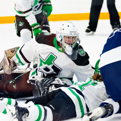 Dallas Stars Elite Girls Hockey | 19U TIER 1 Roster | Dallas Stars ...
