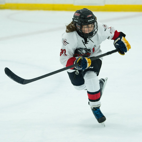 Bloomington Youth Hockey | 12U Prospects Roster | Regular Season | 2024 ...