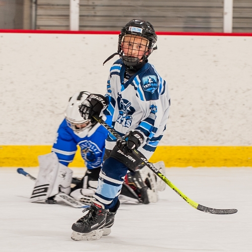 Madison Capitols AAA Hockey | Spring 8U Roster | AAA Spring Season | 2025
