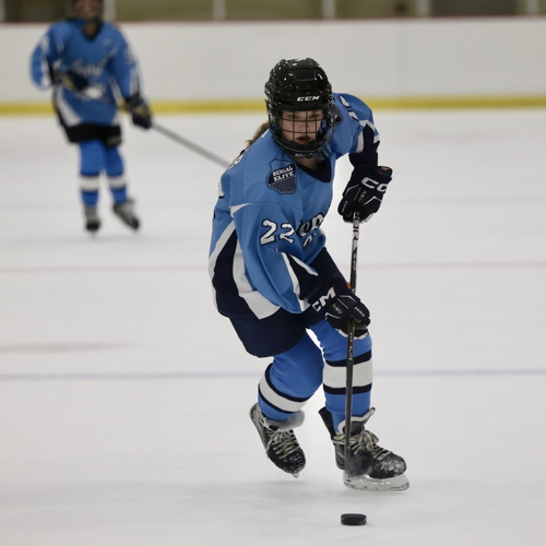Hometown Hockey | U14 Elite Roster | AAA Hockey | 2026 AAA