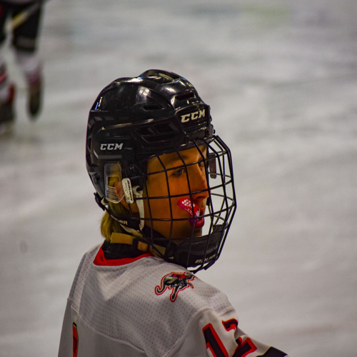 Duluth Amateur Hockey Association | East Bantam AA Roster | Travel ...
