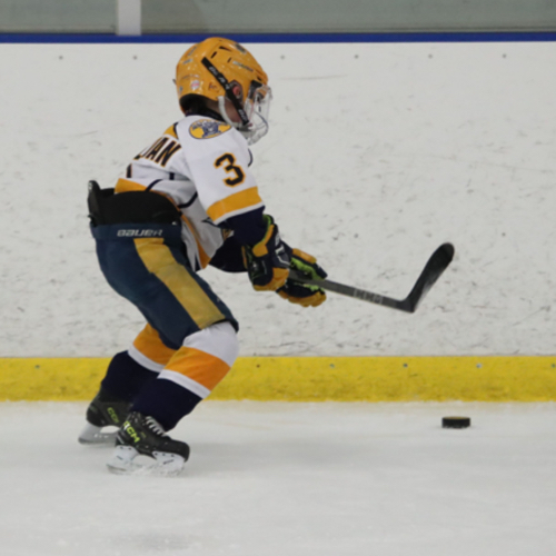 Pittsburgh Predators Hockey Club | 2015 AA Roster | Pittsburgh ...