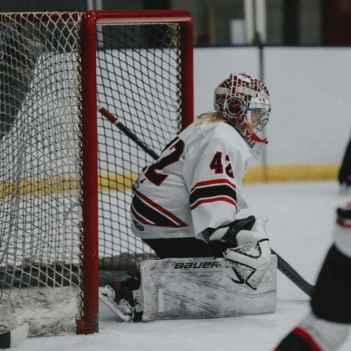 Gallatin Ice Hockey | MT Wolves 14U Tier Roster | Montana Wolves | 2025 ...