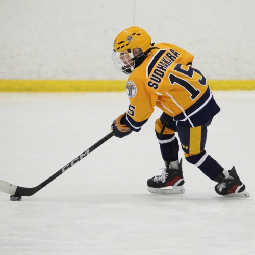 Pittsburgh Predators Hockey Club | 2015 AA Roster | Pittsburgh ...