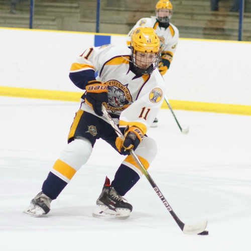 Pittsburgh Predators Hockey Club | 2011 AA Roster | Pittsburgh ...