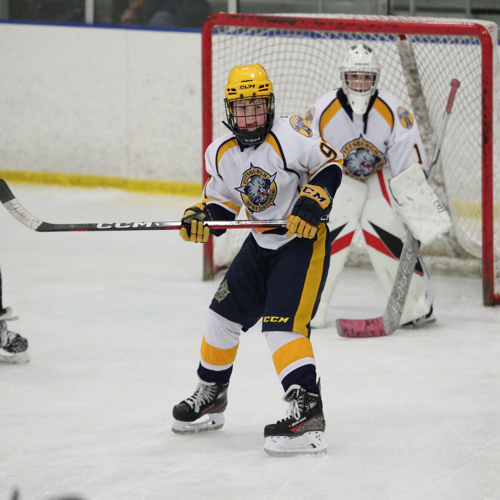Pittsburgh Predators Hockey Club | 2015 AA Roster | Pittsburgh ...