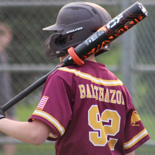 Forest Lake Baseball Association | 12AA Roster | Traveling Baseball ...