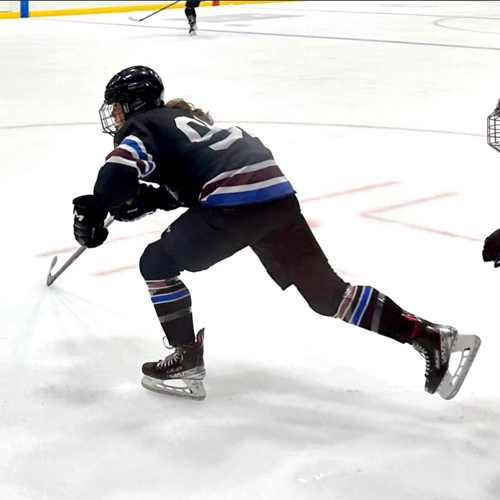 Hometown Hockey | U14 Elite Roster | AAA Hockey | 2024 AAA