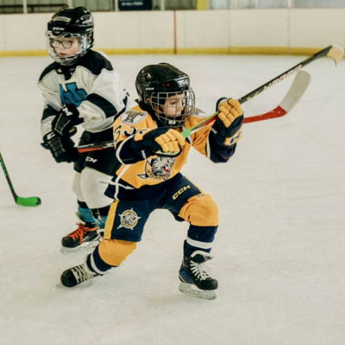Pittsburgh Predators Hockey Club | ADM RED Roster | Pittsburgh ...