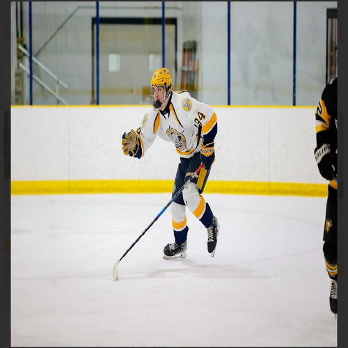 Pittsburgh Predators Hockey Club | 16U AAA Roster | Pittsburgh ...