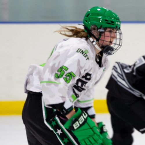 Dallas Stars Elite Girls Hockey | 14U TIER 1 Roster | Dallas Stars ...