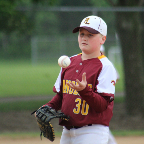 Forest Lake Baseball Association | 12AA Roster | Traveling Baseball ...